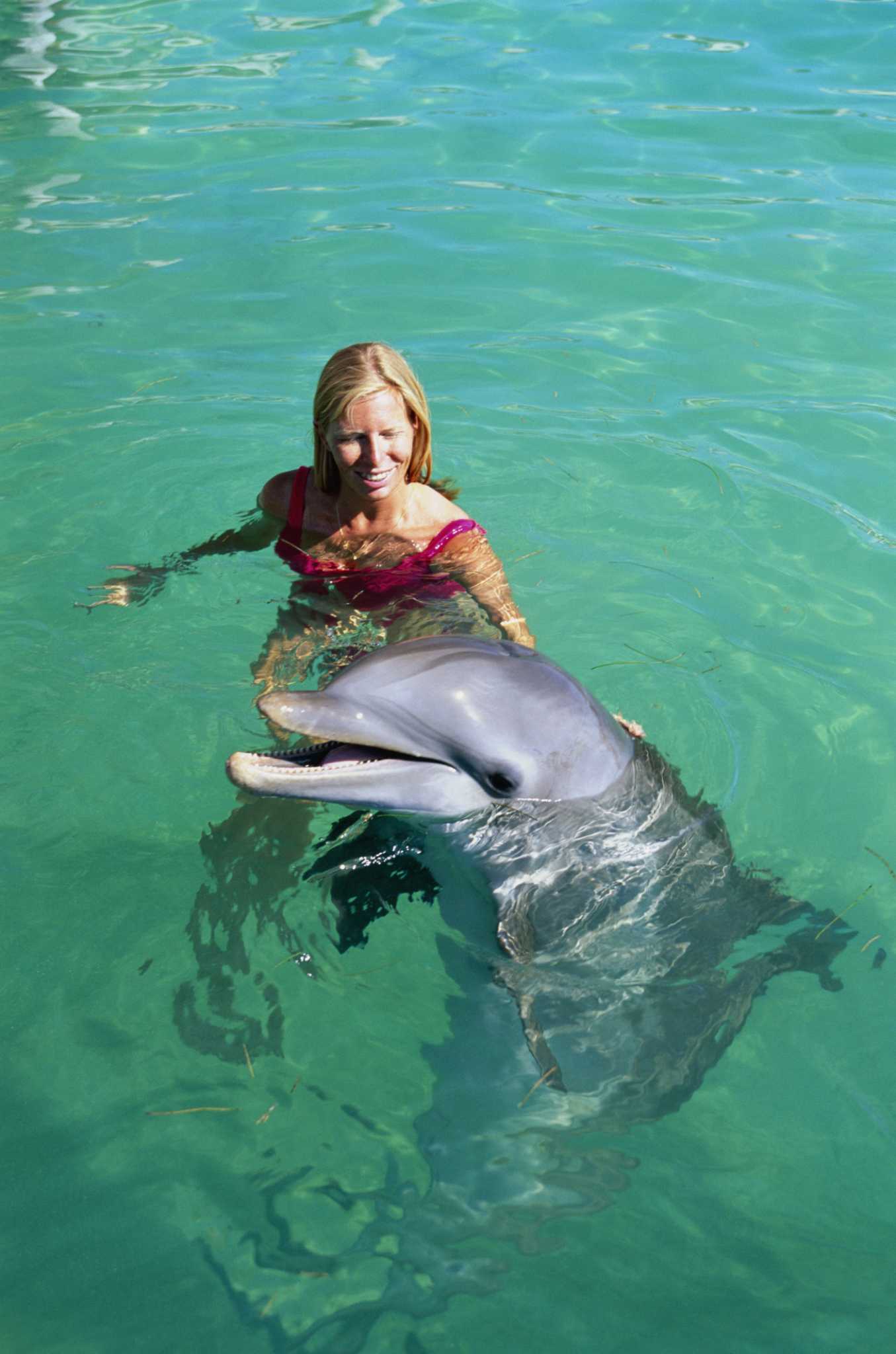 What Does an Animal Behaviorist Do?