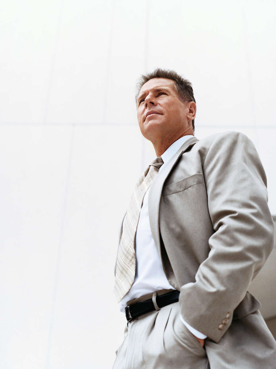 Aspects & Features of The Director Personality Type