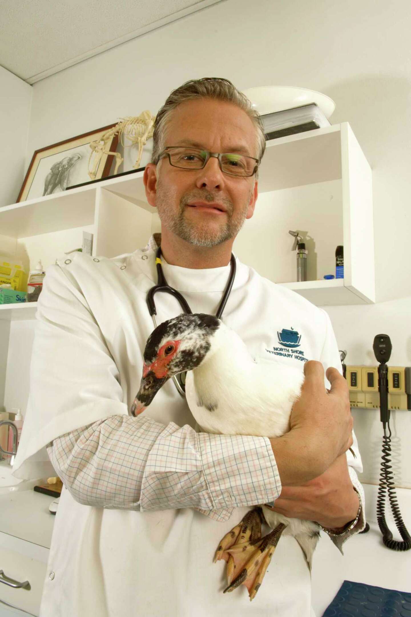 What Is the Difference Between a Regular Veterinarian & a Veterinarian ...