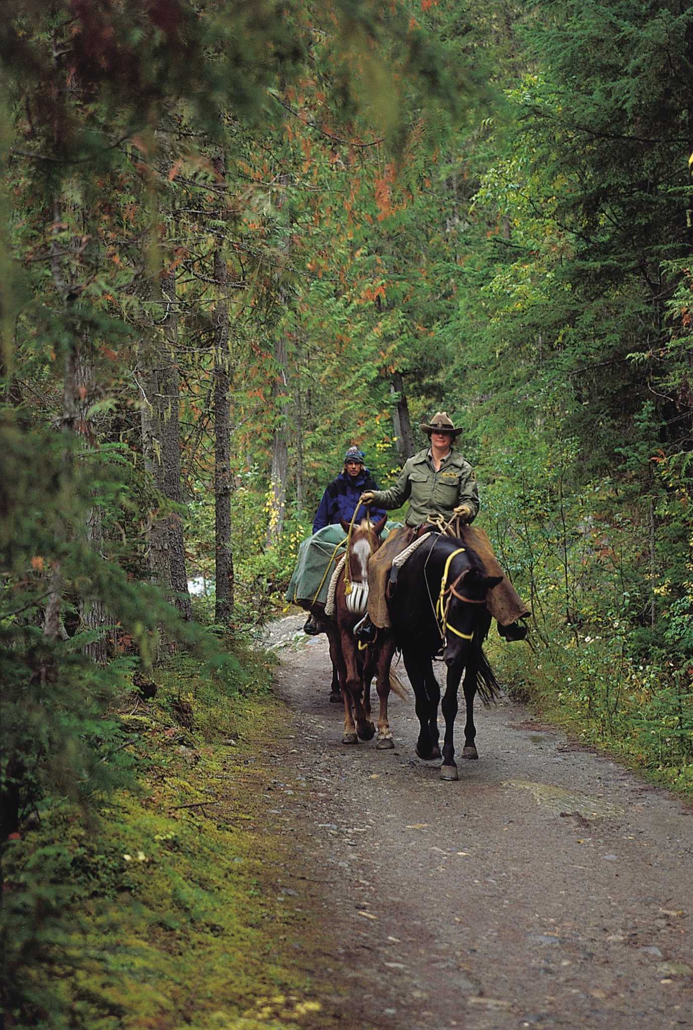 What Responsibilities Does an Assistant Park Ranger Have?