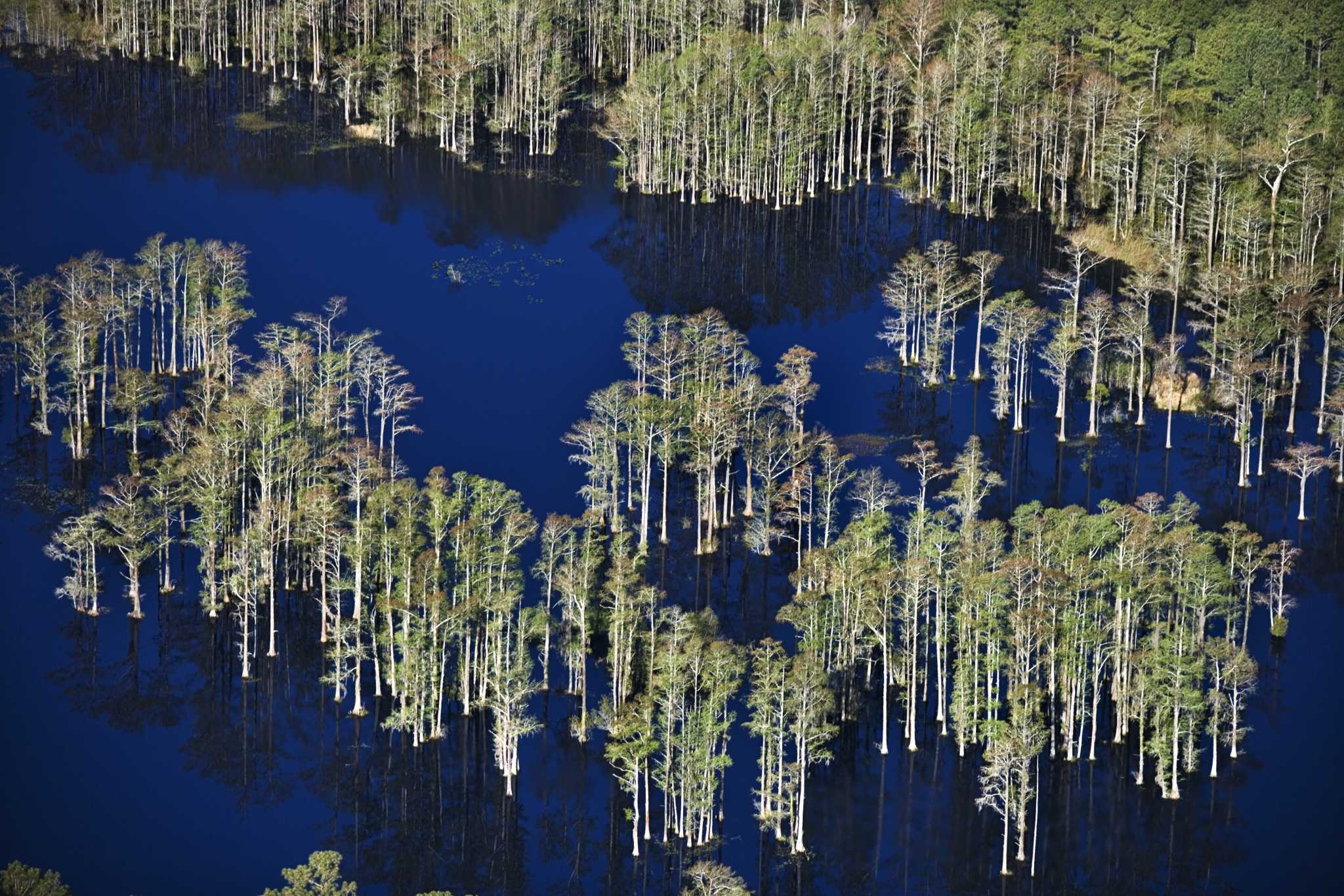 Bioenvironmental Science Jobs