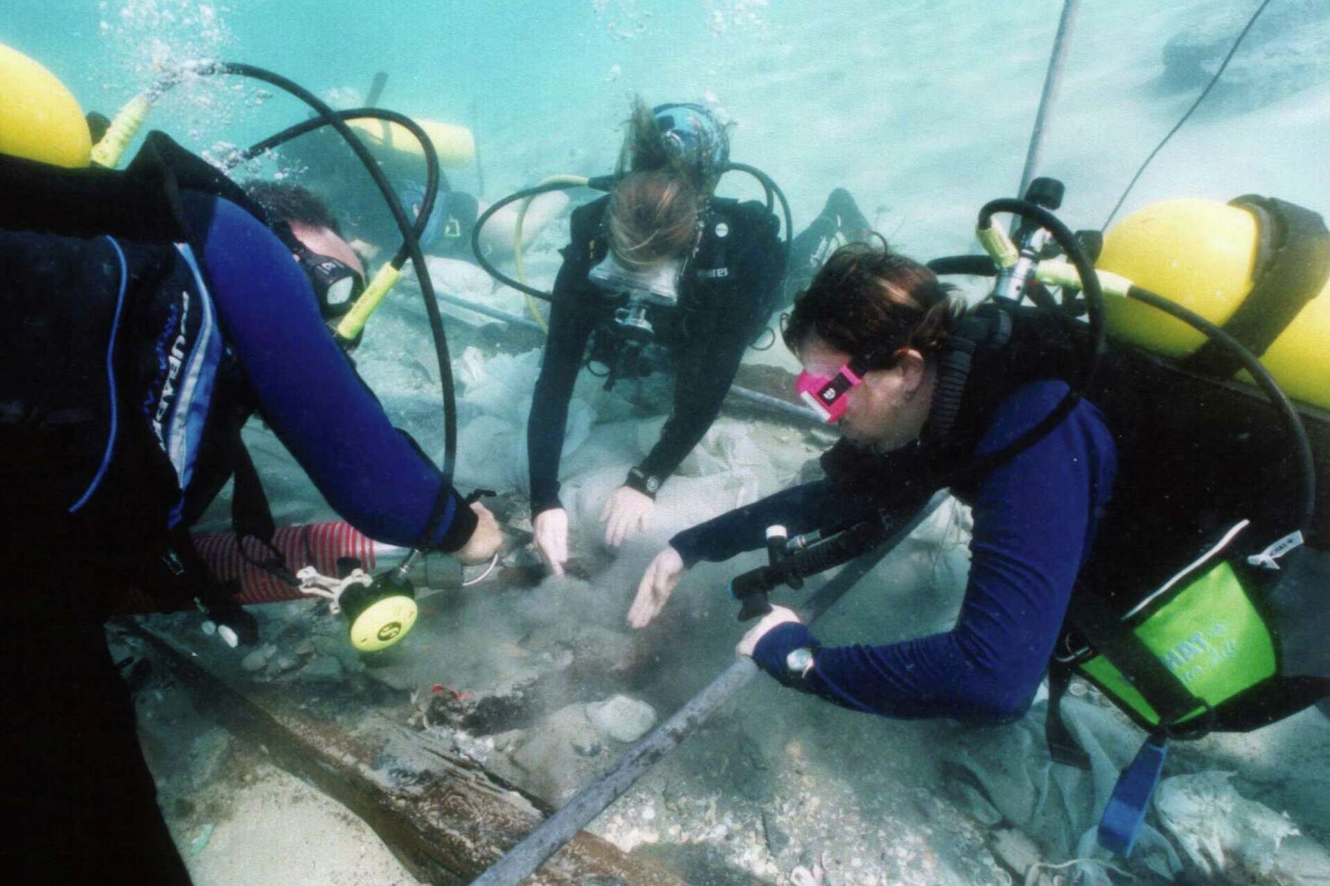 Can Chemistry Majors Become Marine Biologists?