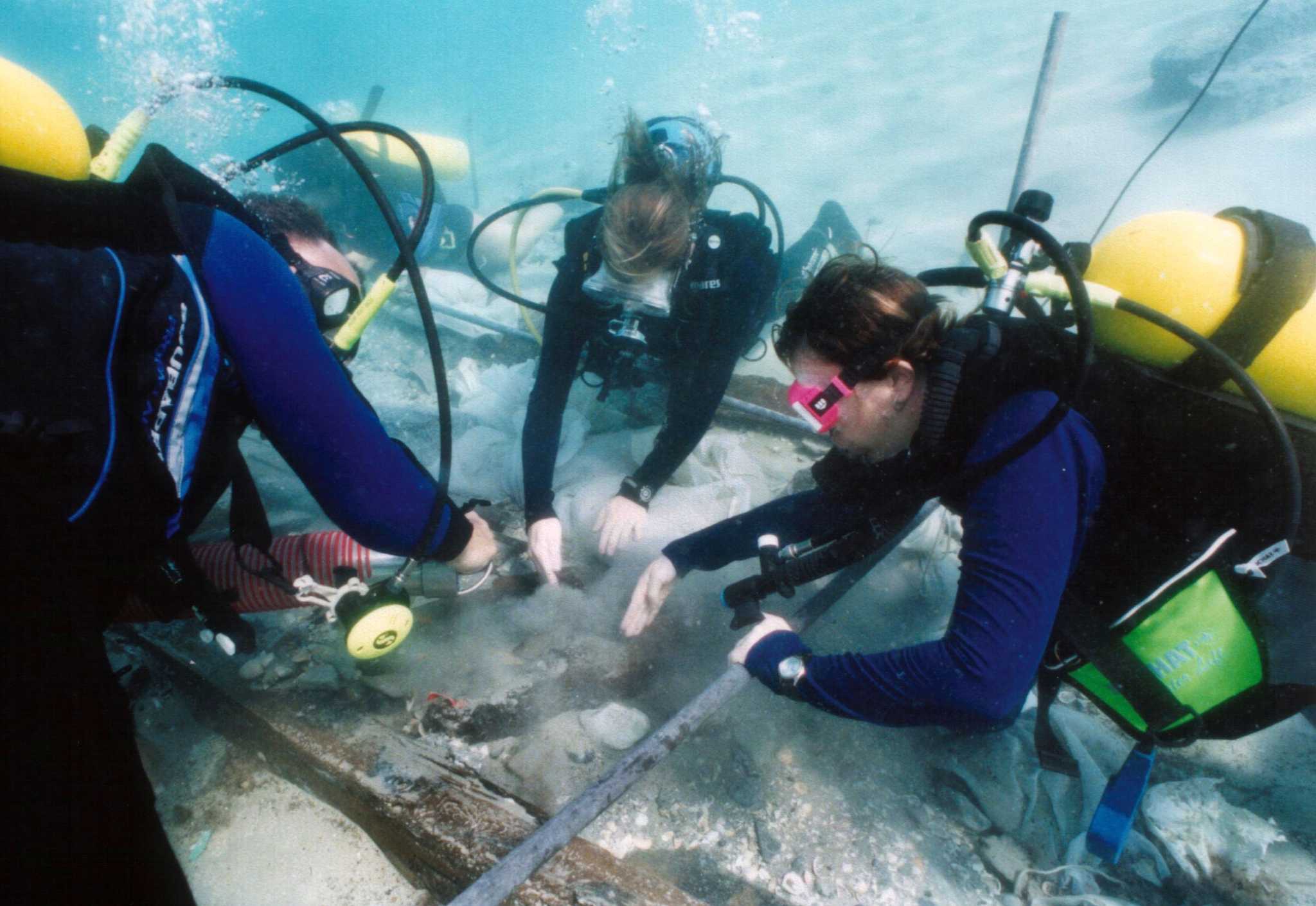 Can Chemistry Majors Become Marine Biologists?