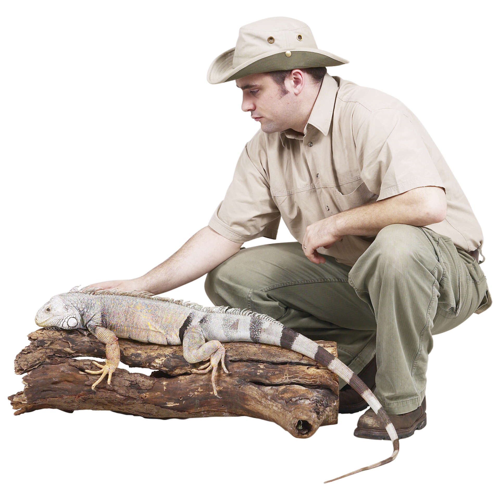 Certifications Needed for Zoologists & Wildlife Biologists