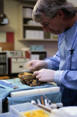 Coroner Education & Training