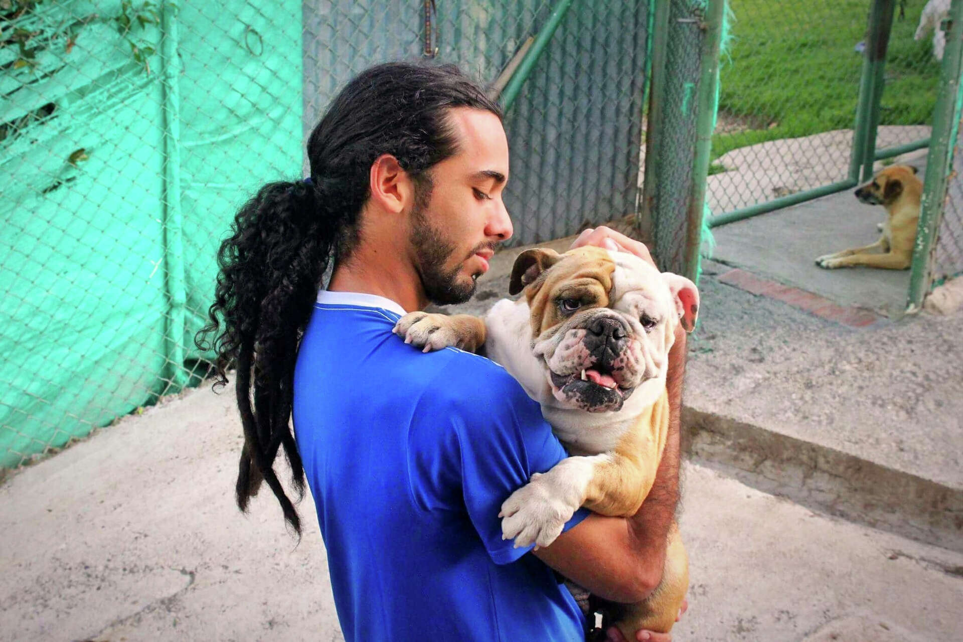 What Degree Is Needed to Be an Animal Rescuer?