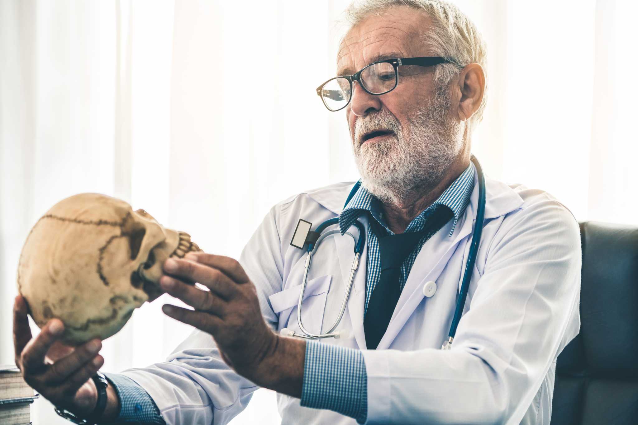 Duties for an Archaeologist