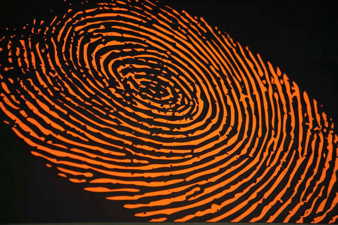 What Are the Duties of a Forensic Specialist?
