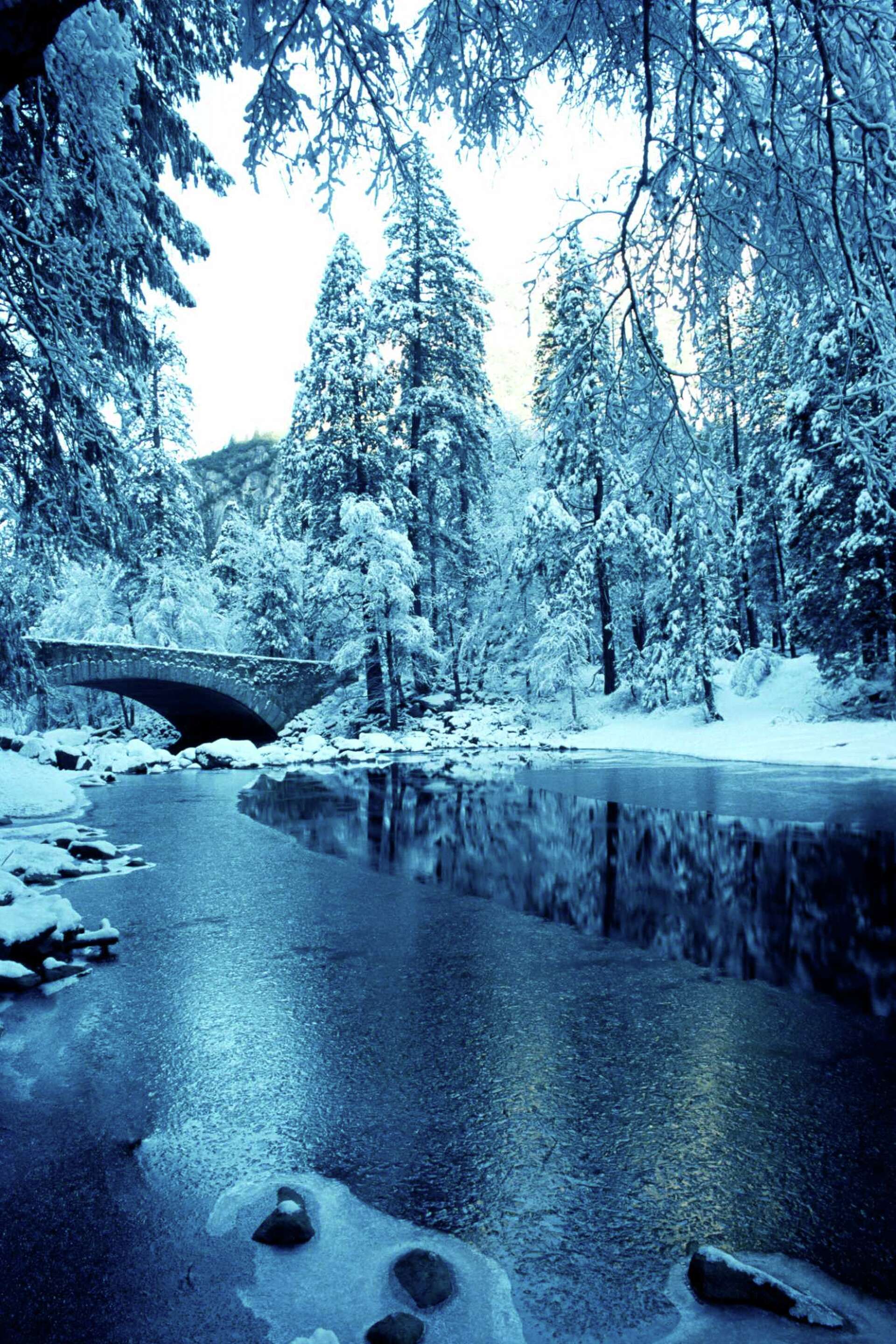 Educational Requirements for Being a Park Ranger