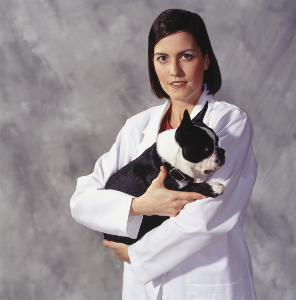 What Do I Do if I Forgot to Renew My Vet Tech License?