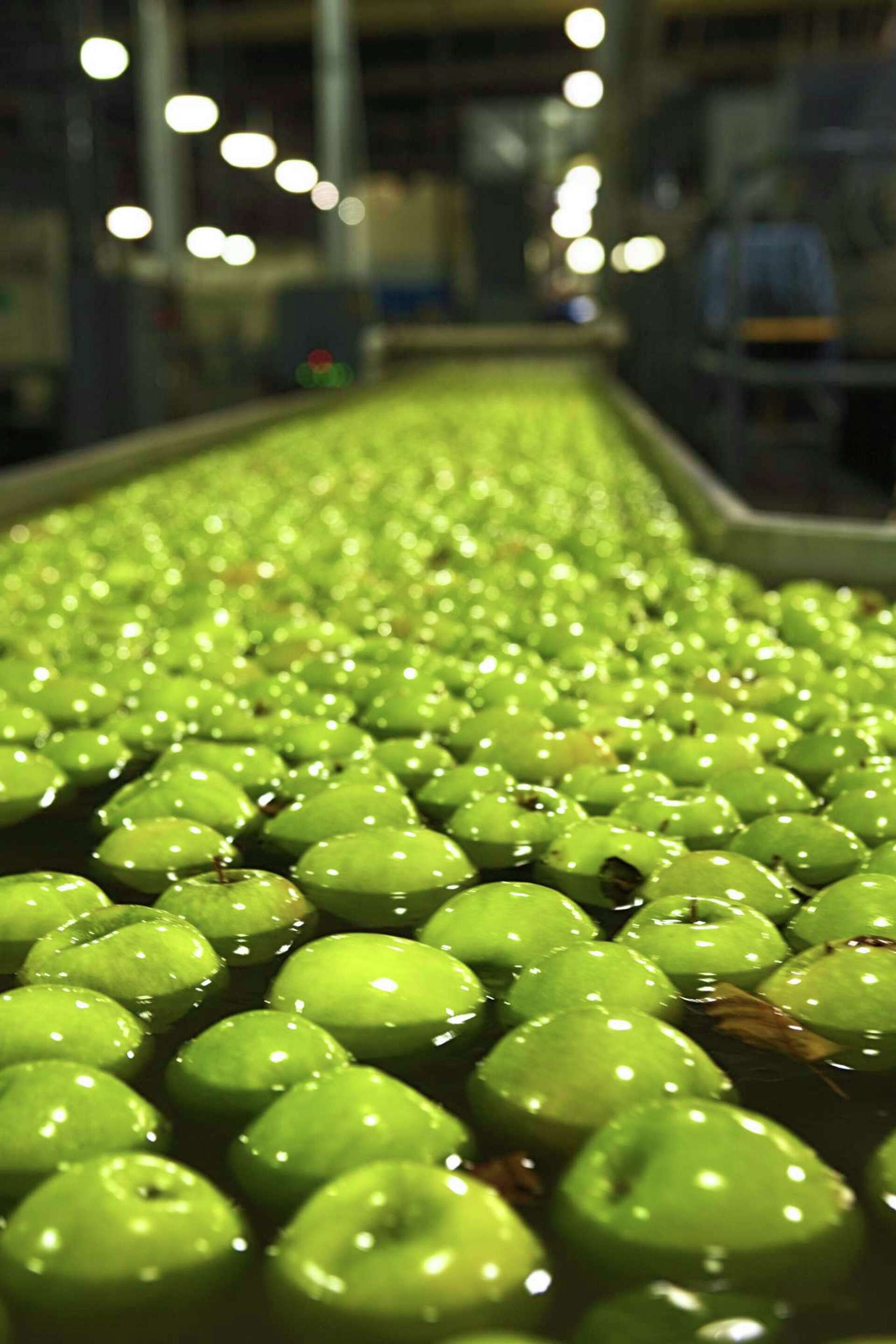 Industrial Engineering Careers in the Food Industry