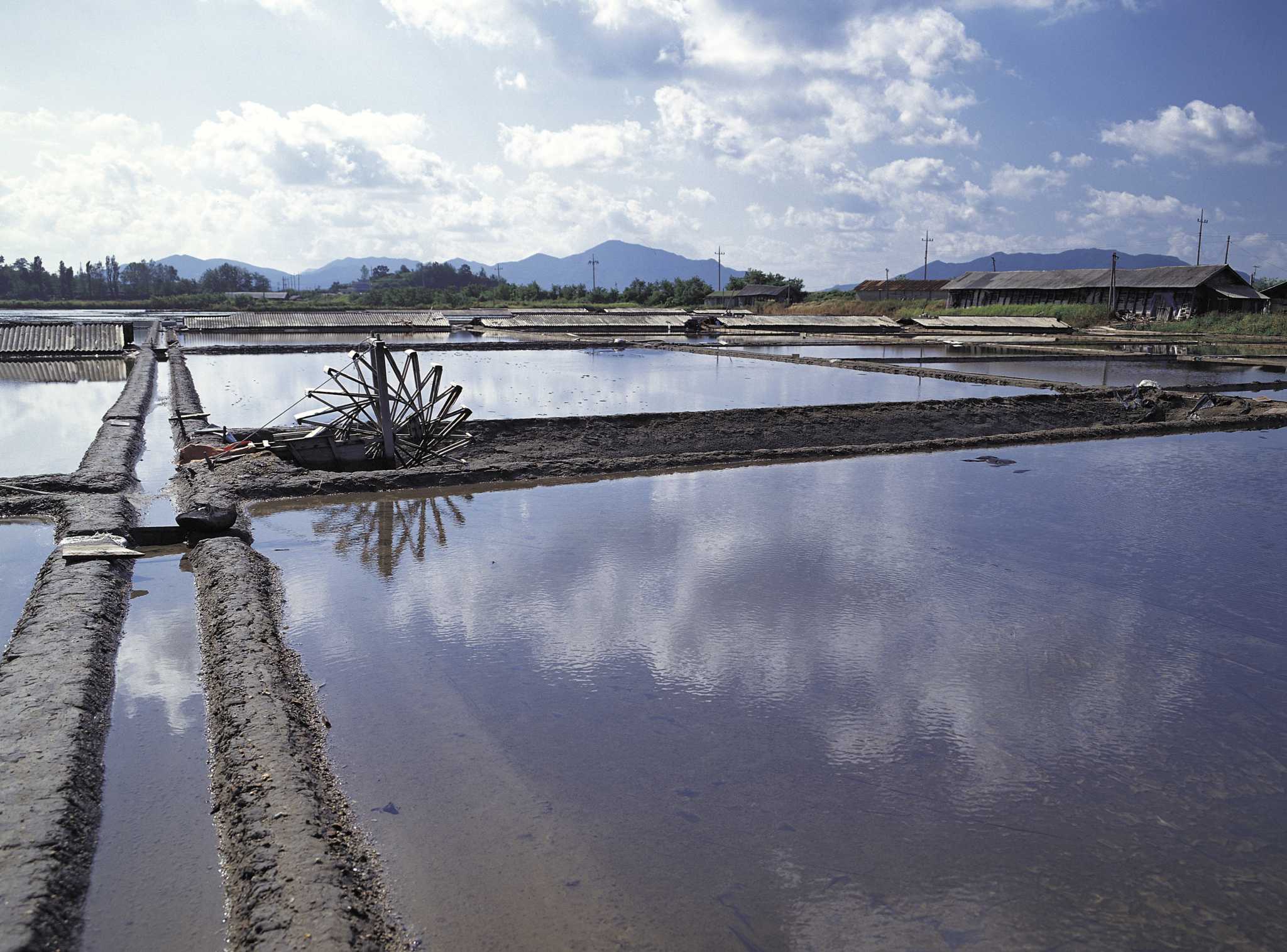 Job Description & Qualifications for an Aquaculture Research Scientist
