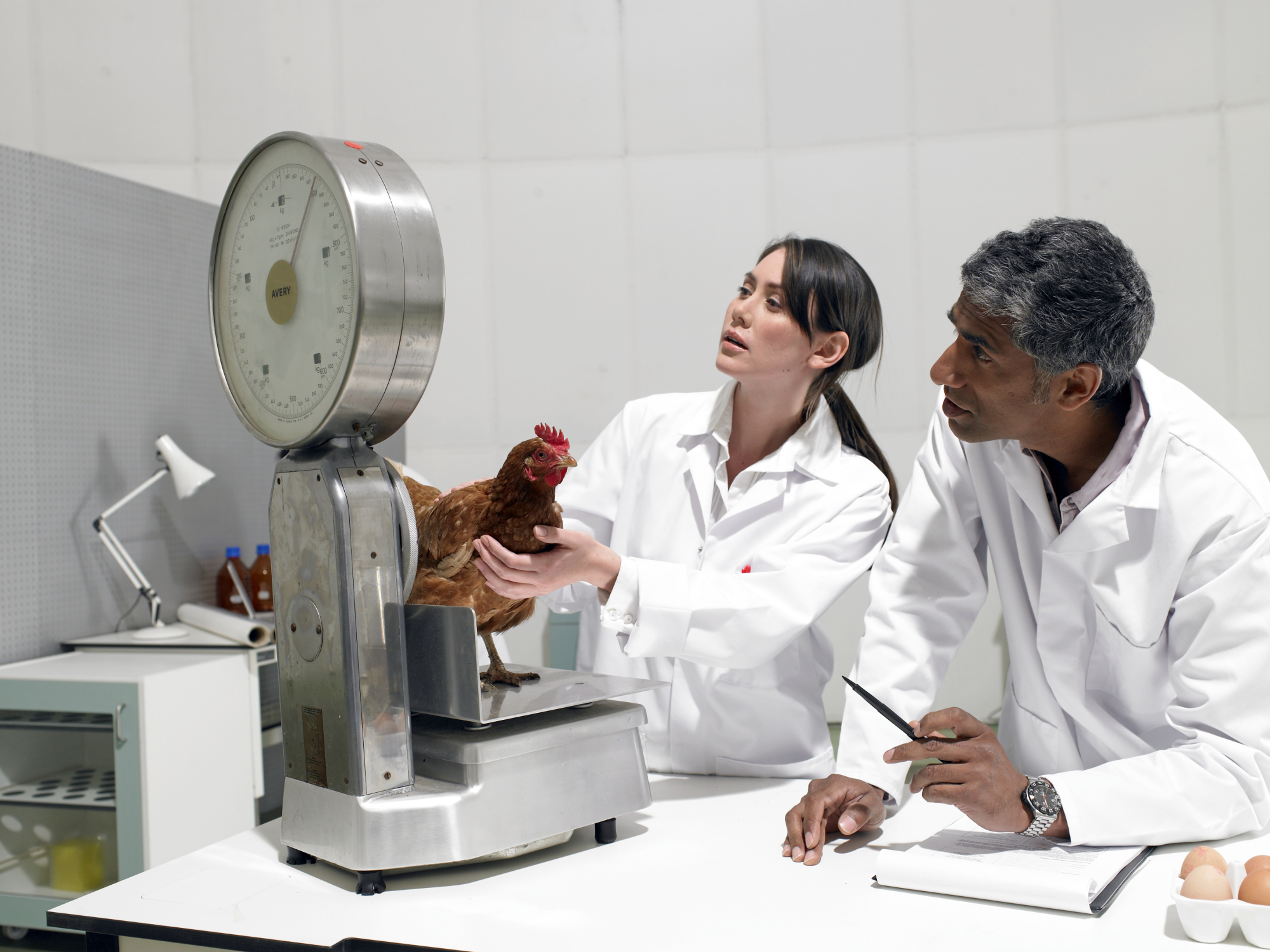 A Job Description of Research Compliance Officers