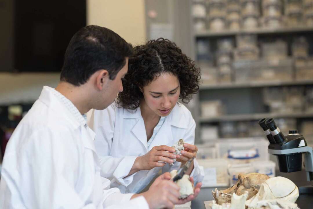 List of Anatomy Careers