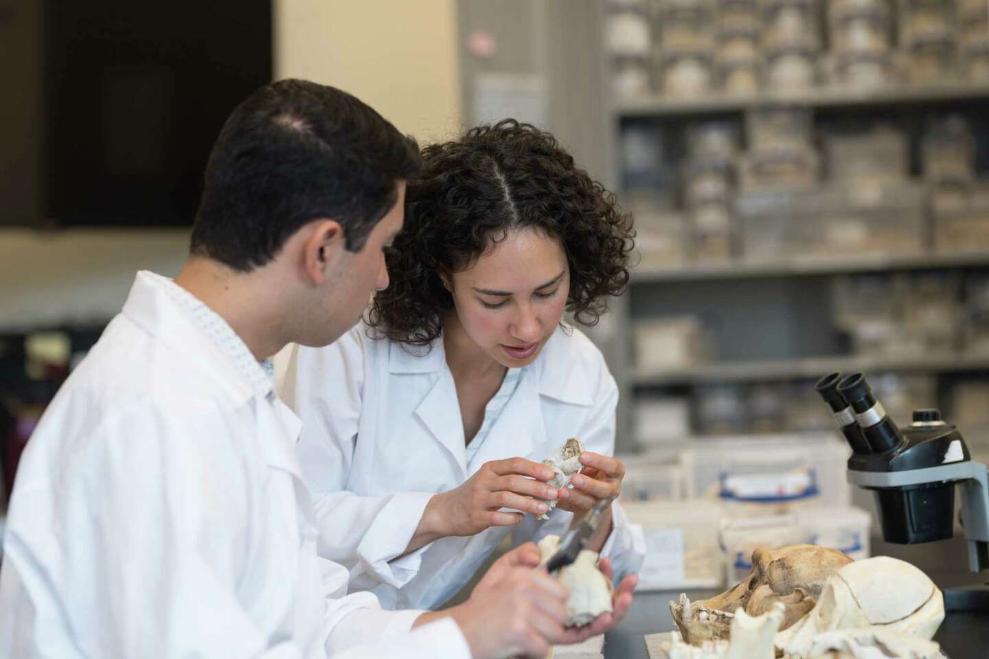 List of Anatomy Careers