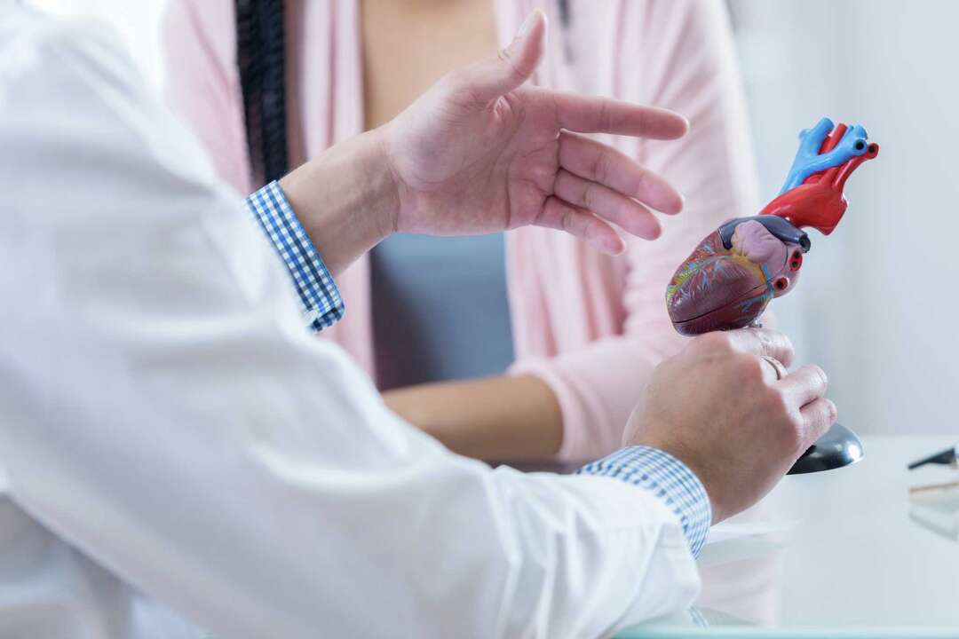 List of Jobs & Careers Involving the Cardiovascular System