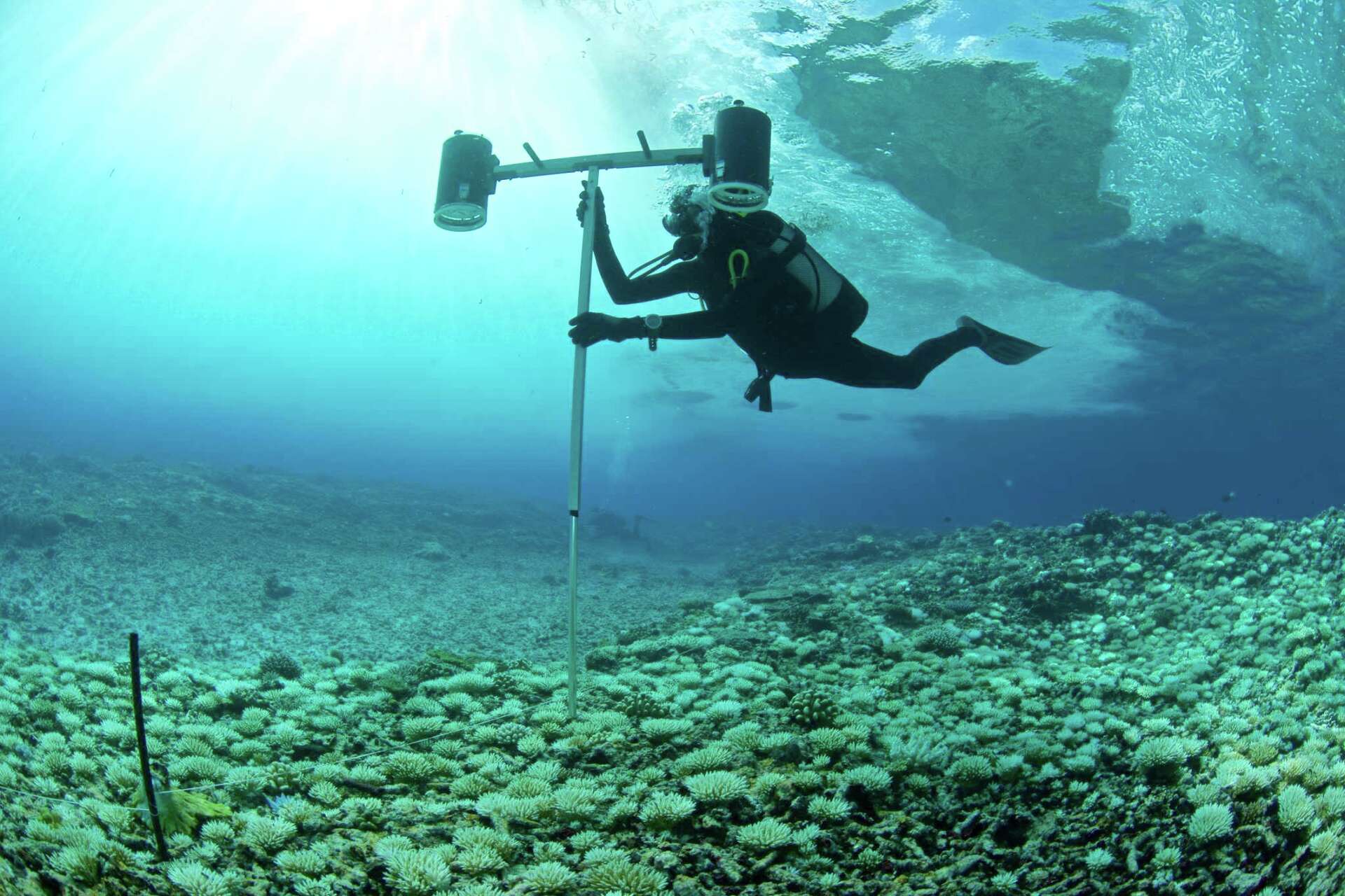 oceanographers at work