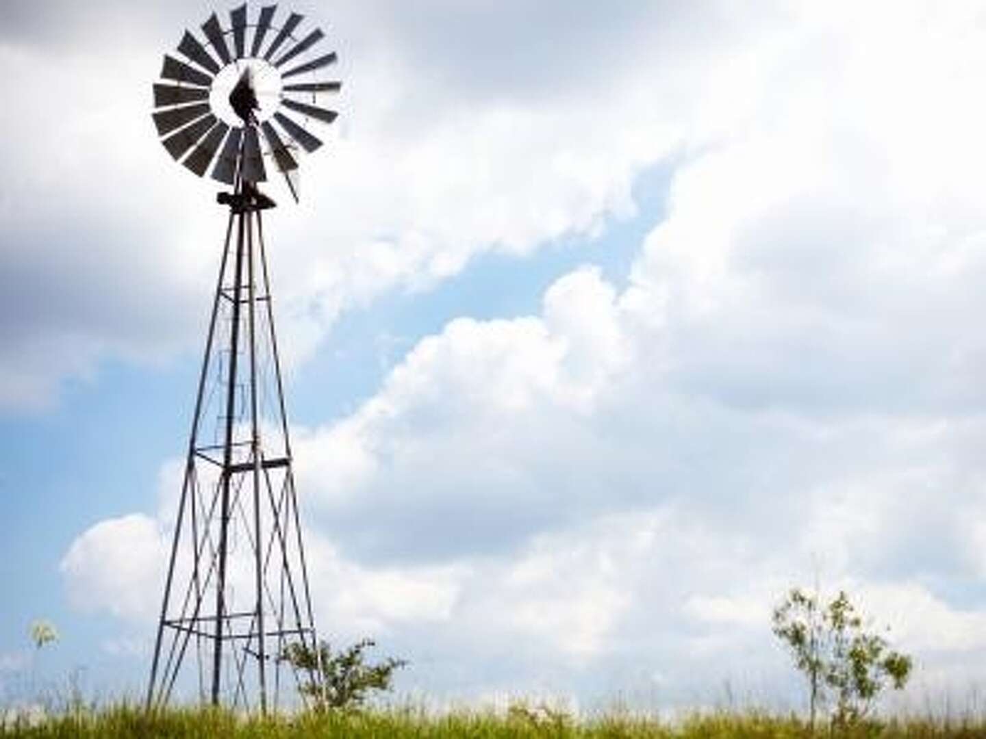 Petroleum Engineering Projects