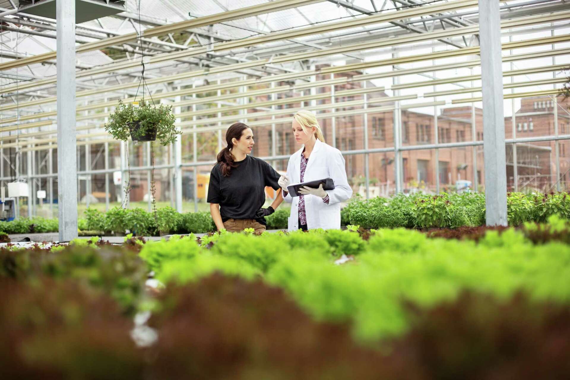 What Are the Qualifications of a Health Inspector?