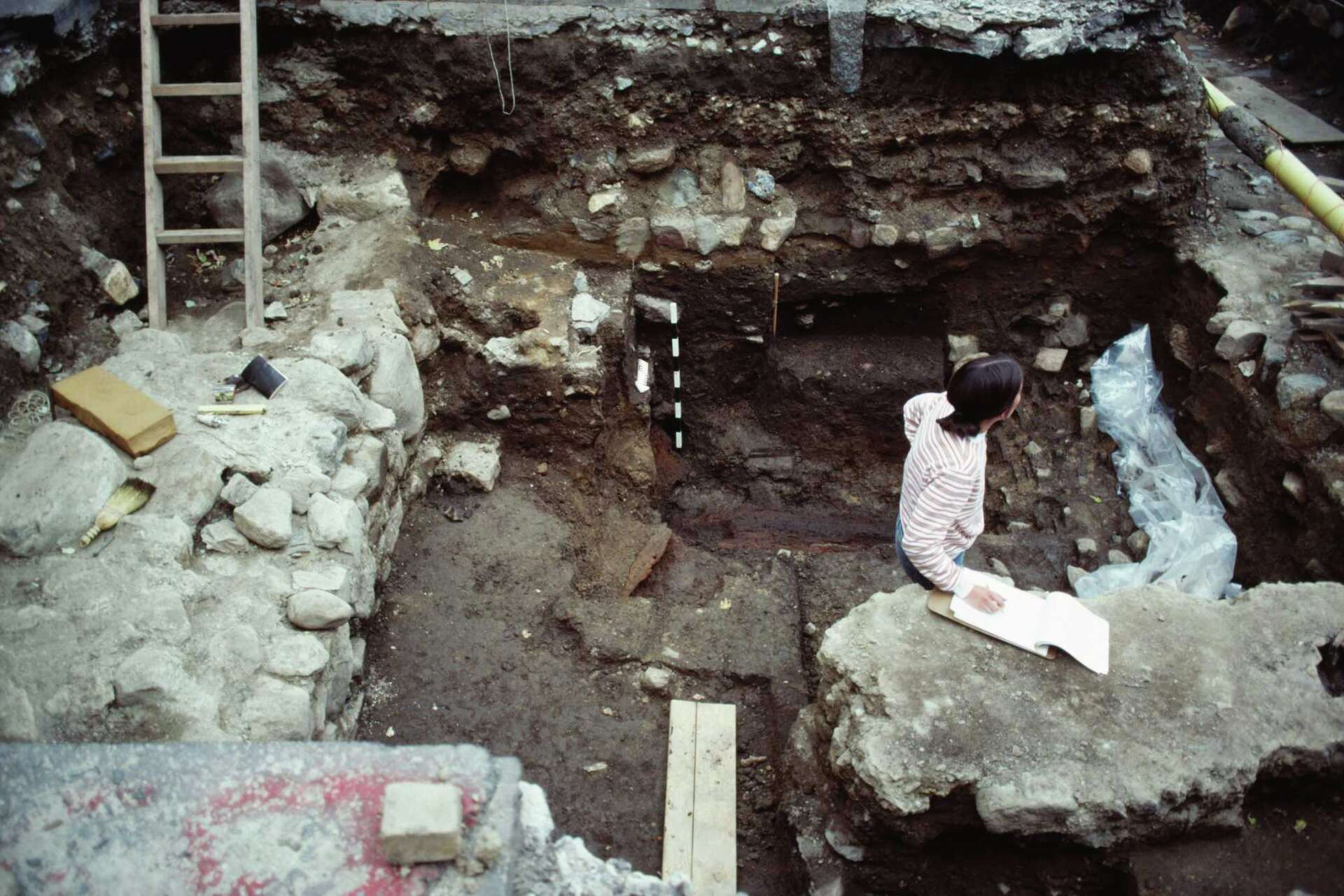 Work Benefits of Anthropologists