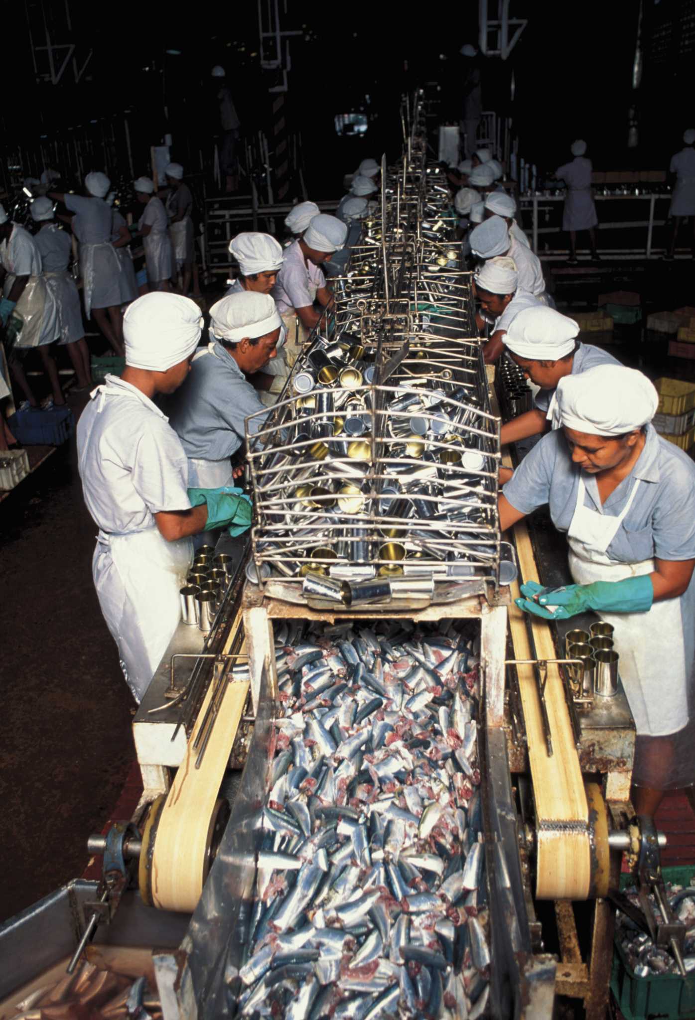 Worker Safety in Food Processing Plants