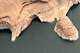 Utah national park landmark, millions of years old, finally collapses