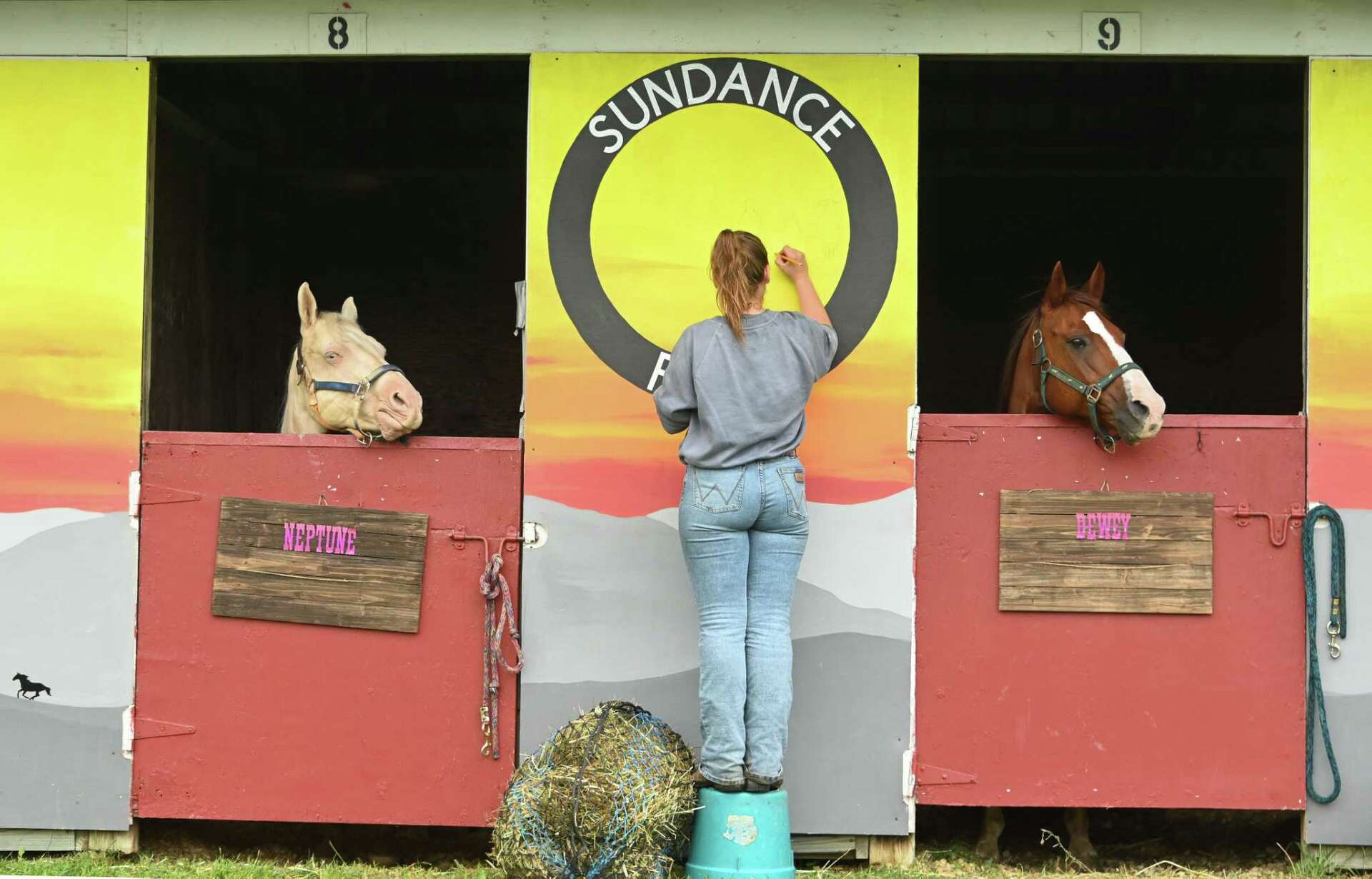 Altamont Fair: Everything you need to know