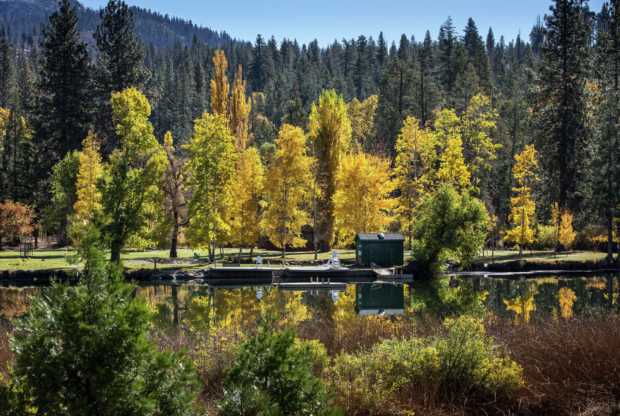 Camp Mather worker, 20, dies on hike in Yosemite National Park