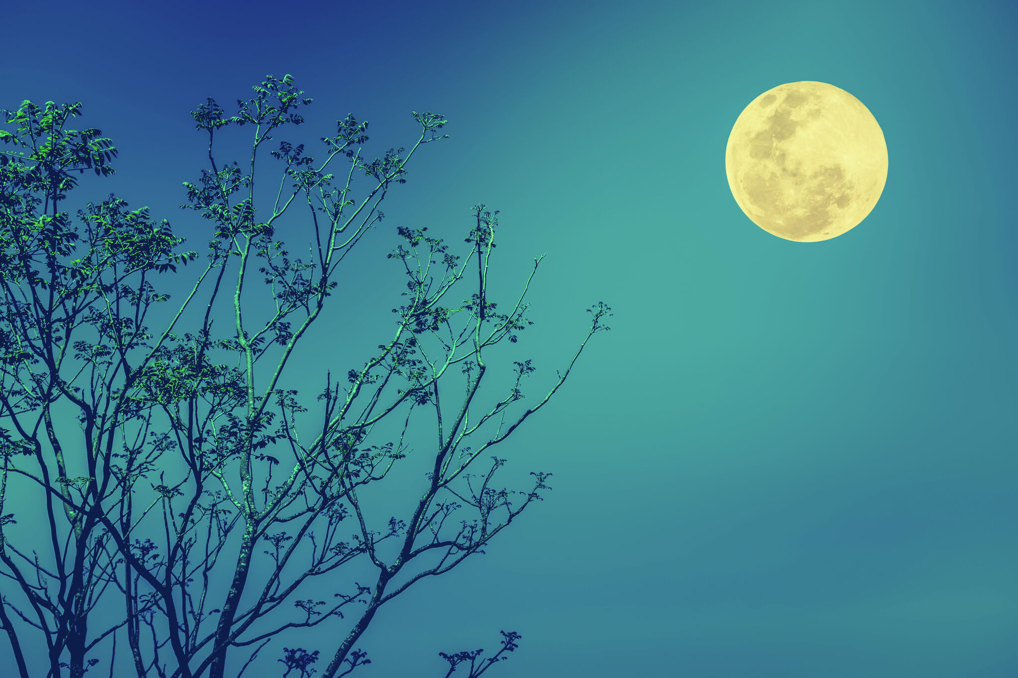 August supermoon kicks off 2024's stunning lunar series on August 19