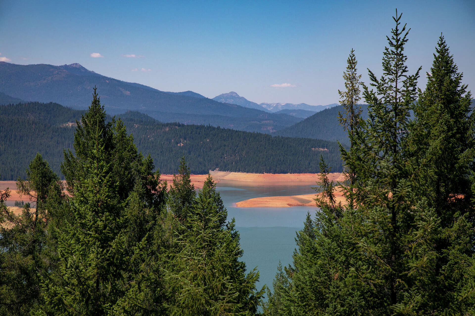 Calif. groups buy 11K acres from timber company to protect reservoir