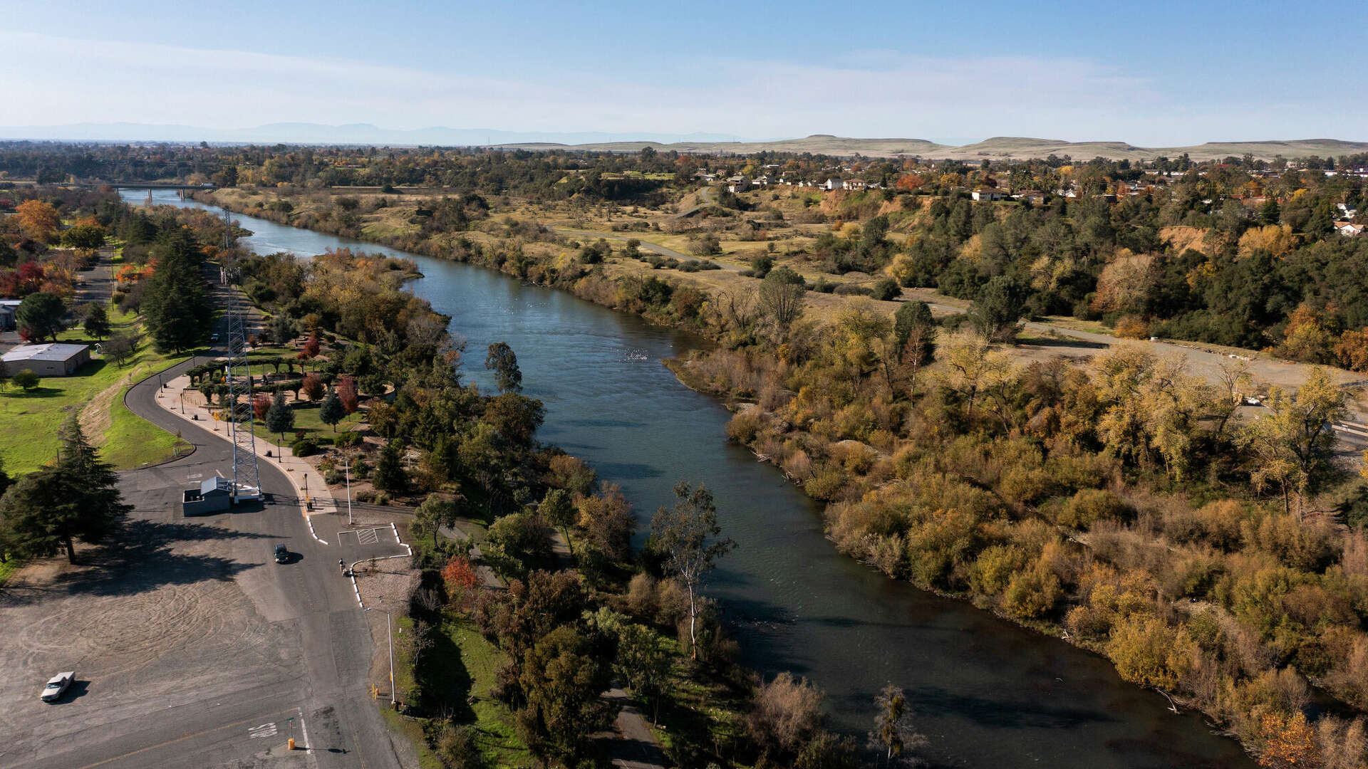 25 Great Danes seen after Northern Calif. woman killed in dog attack