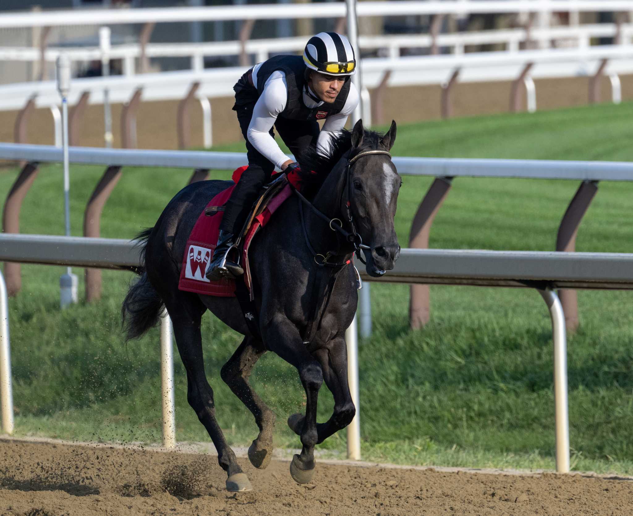 Ian Wilkes-trained Just Basking to run in Saratoga's Alabama