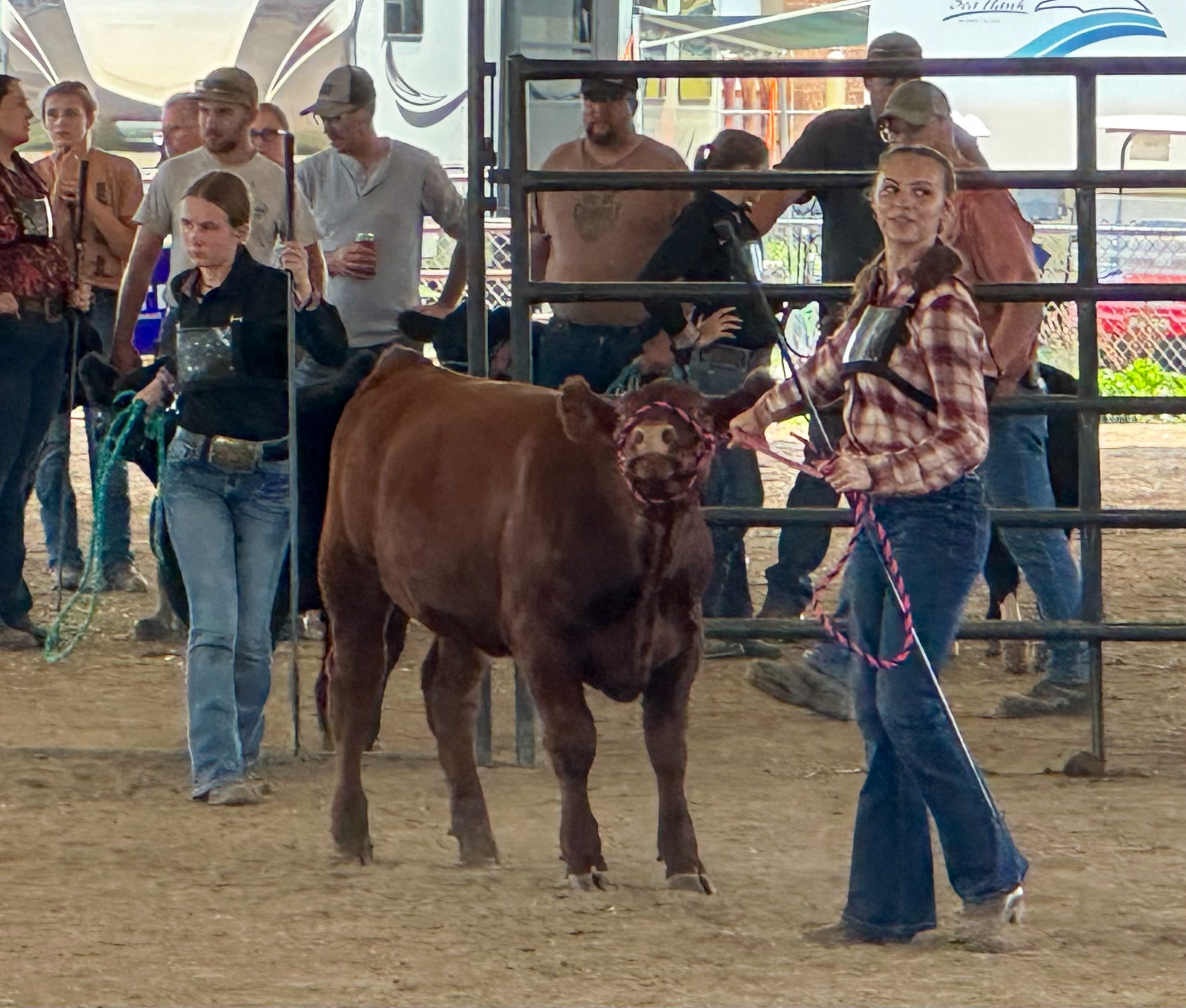 Conseco Finance Unit to Be Split, Sold