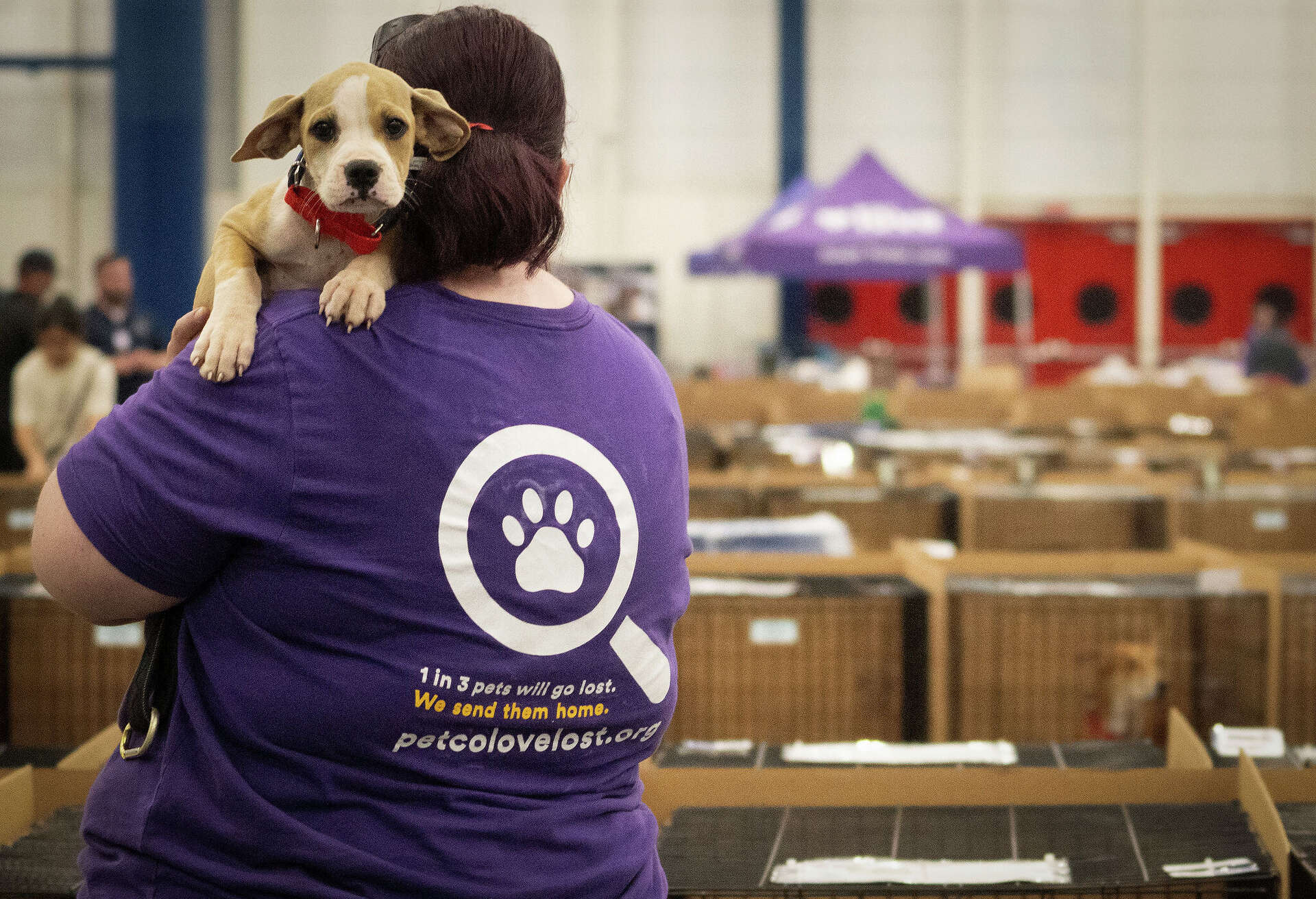 NRG to host mega pet adoption event in Houston