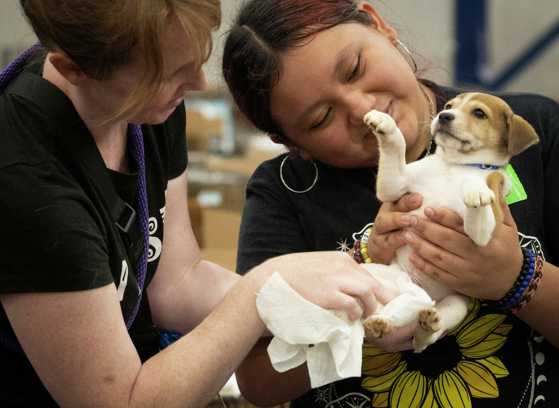 Mega adoption event secures new home for more than 1,000 pets