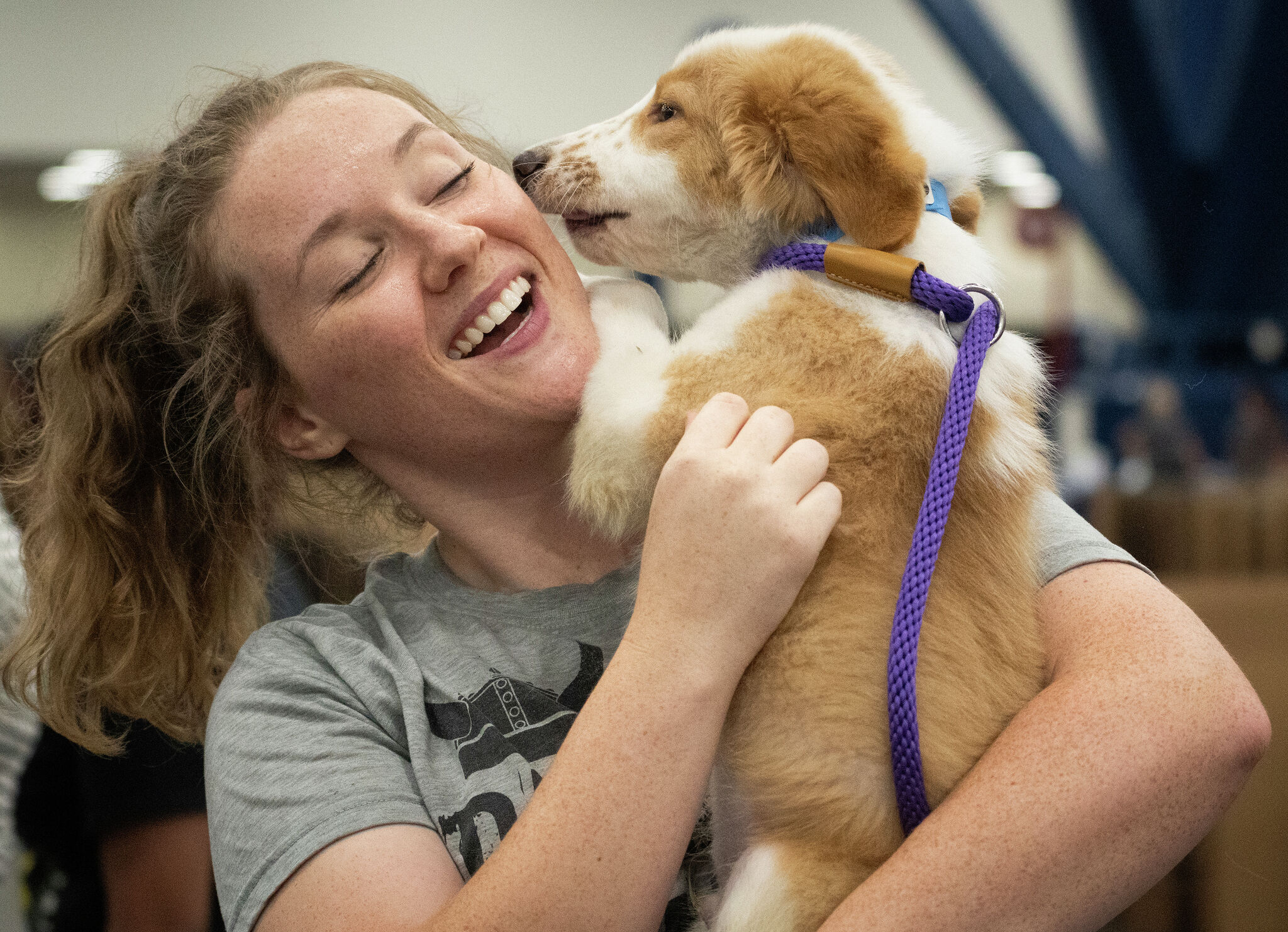 Mega adoption event secures new home for more than 1,000 pets