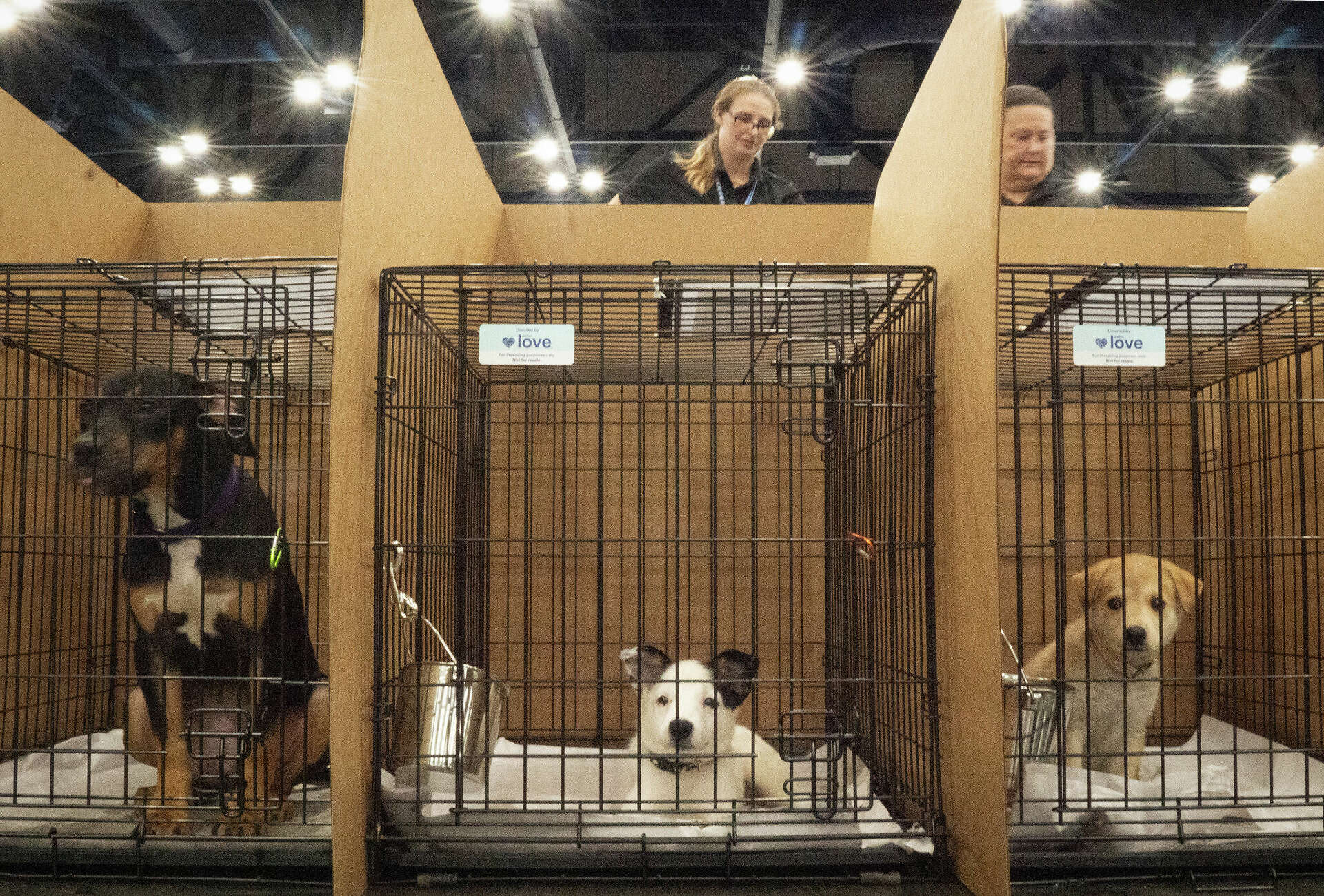 NRG to host mega pet adoption event in Houston