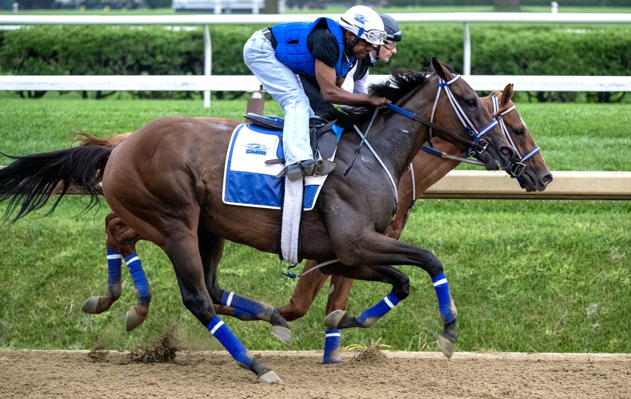 Thorpedo Anna, likely Travers rivals work out at Saratoga Race Course