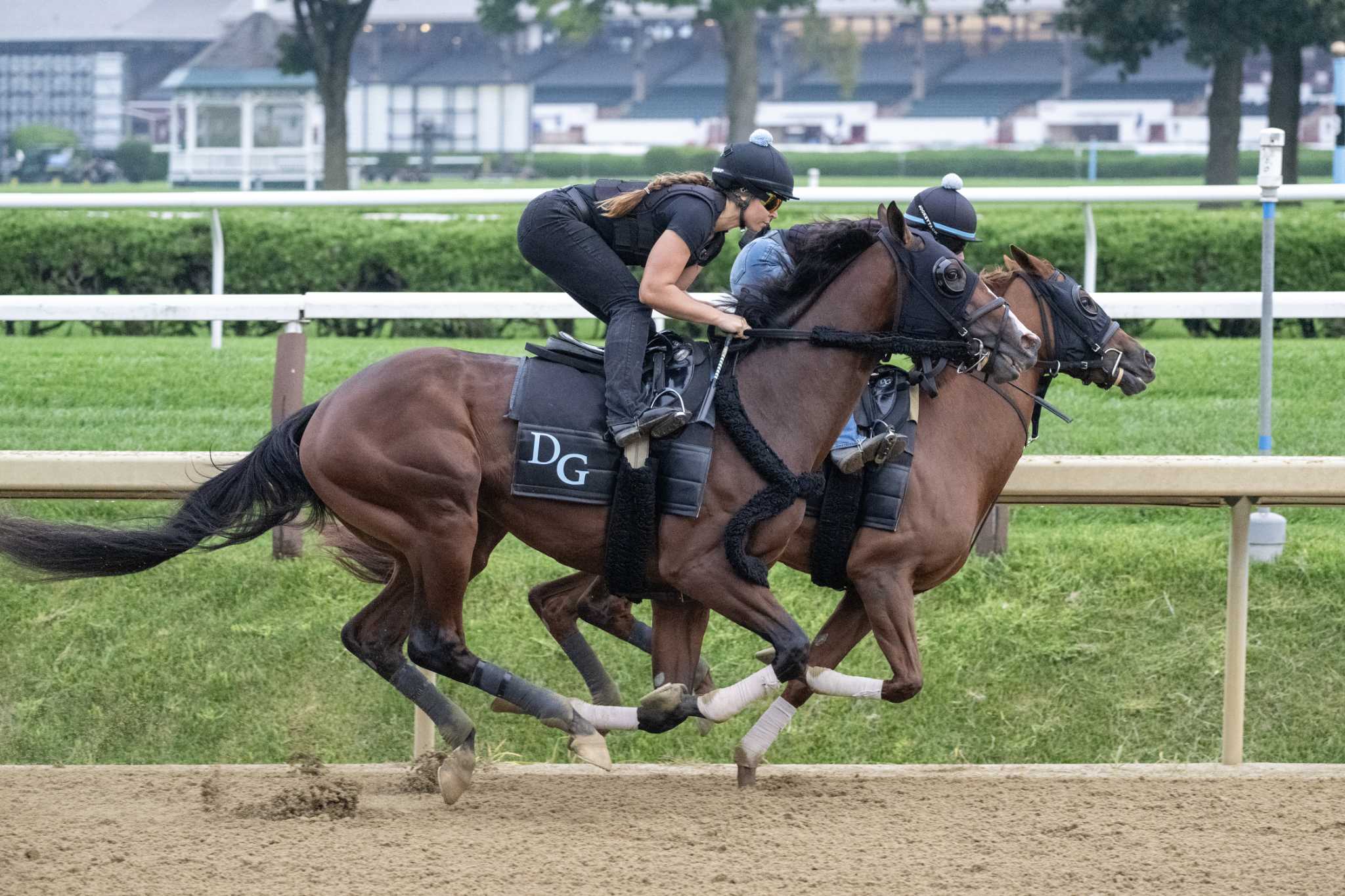 Danny Gargan-trained Dornoch is the morning-line pick for the Travers