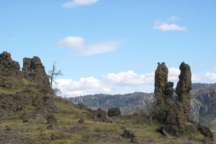 Wildfire torches 95% of historic Northern California wilderness