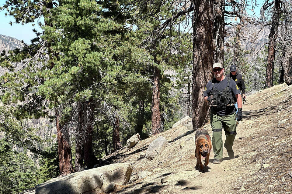 Rescuers bump into celeb on Calif. trail in search for missing hiker