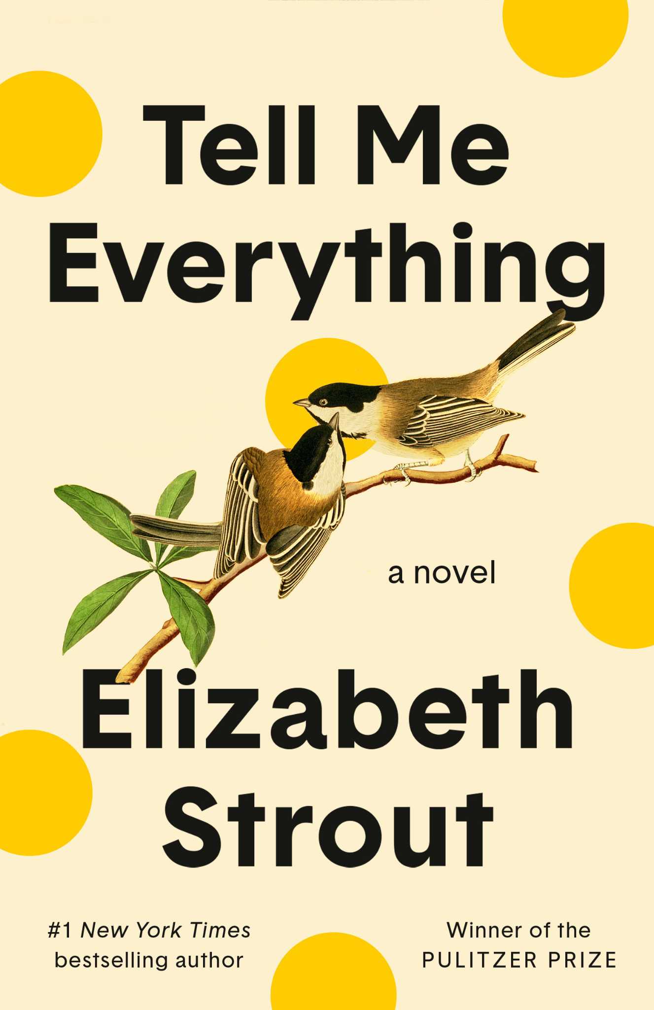 Review: ‘Tell Me Everything’ by Elizabeth Strout