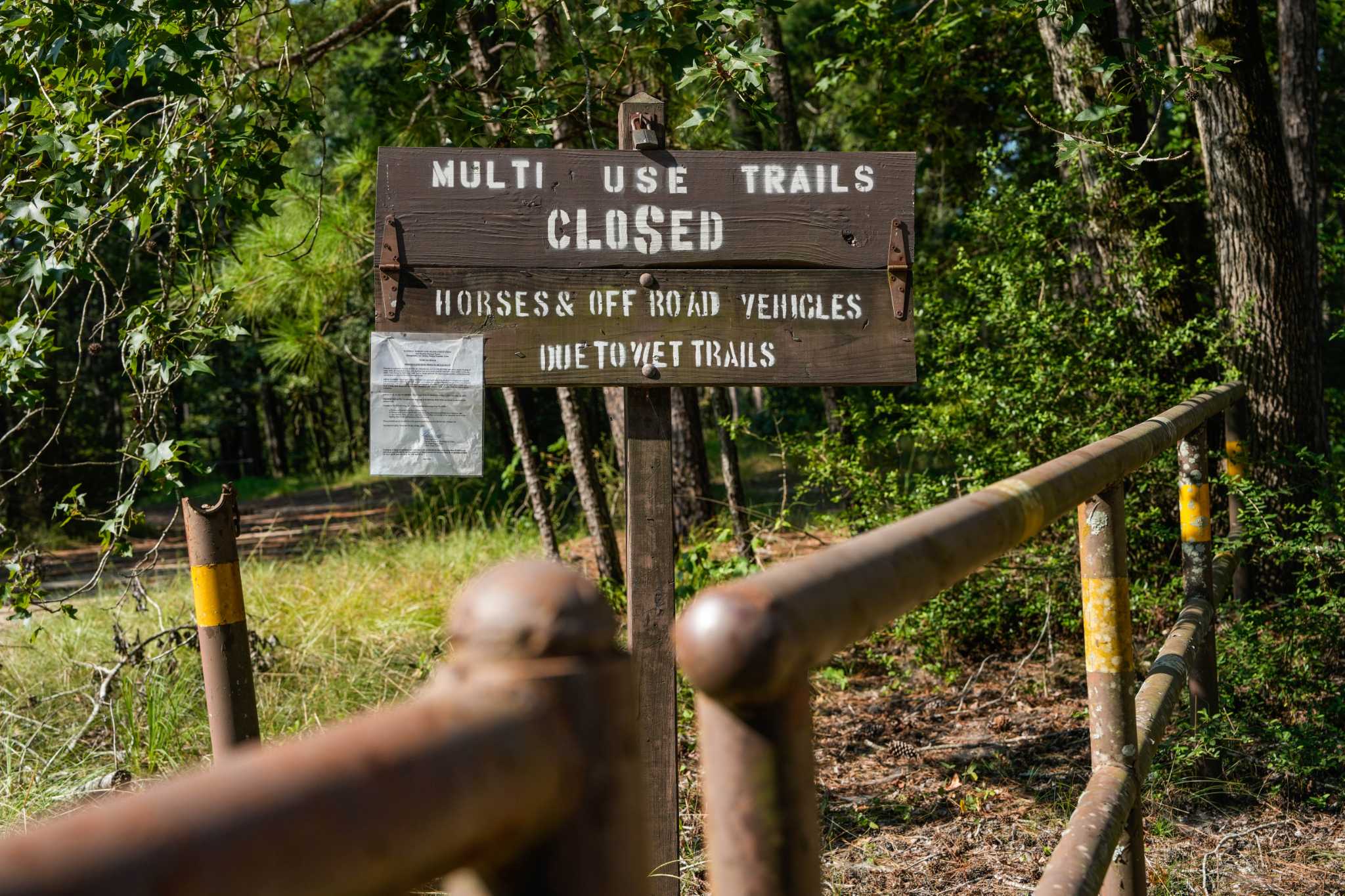 Sam Houston Forest likely to lose federal rule against new roads