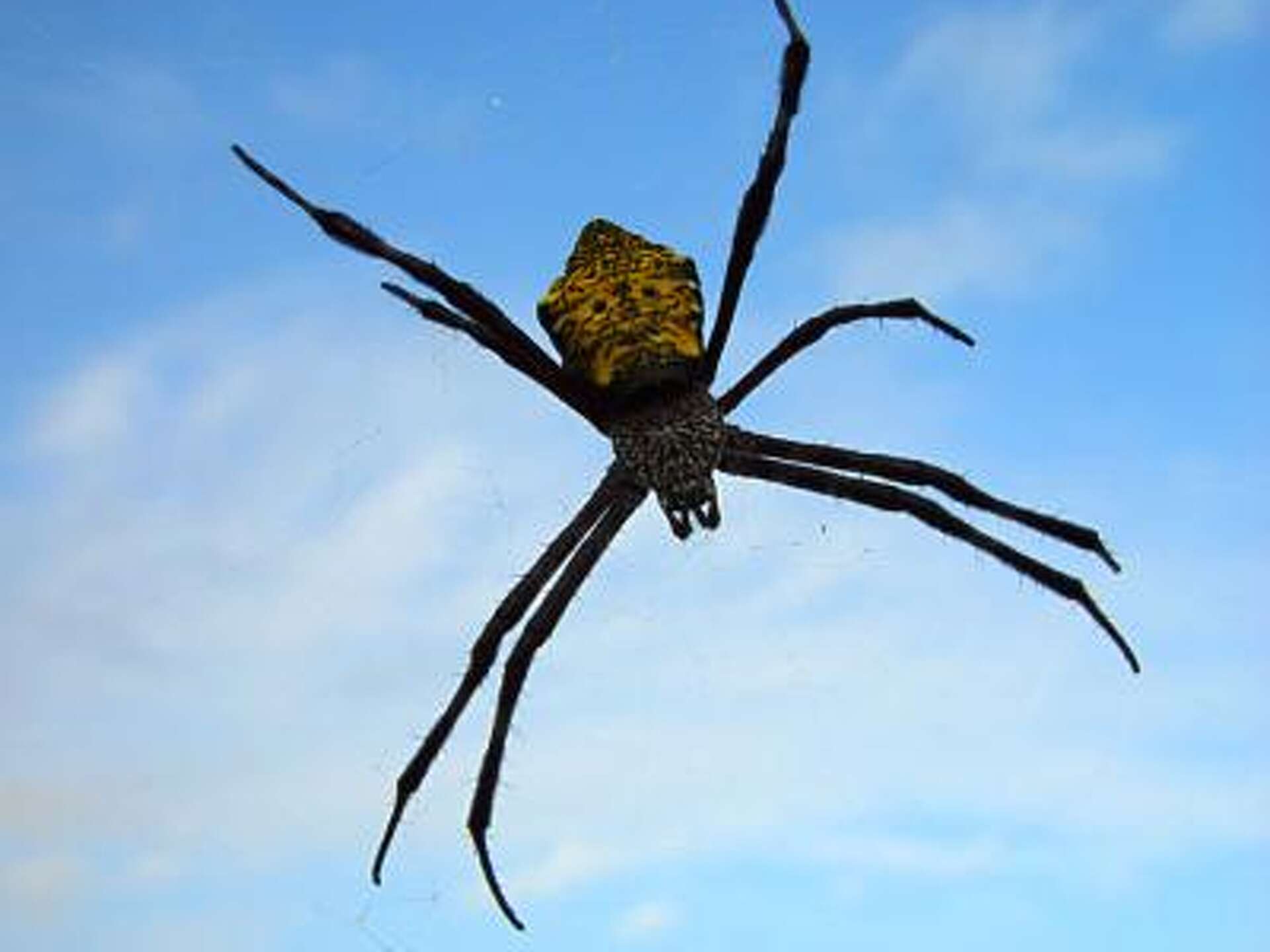 How to Add Data in the Y Axis in Microsoft Excel