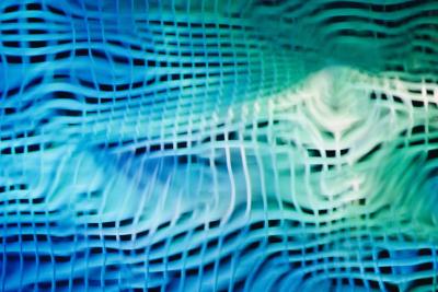 Adding Lens Distortion in Adobe After Effects