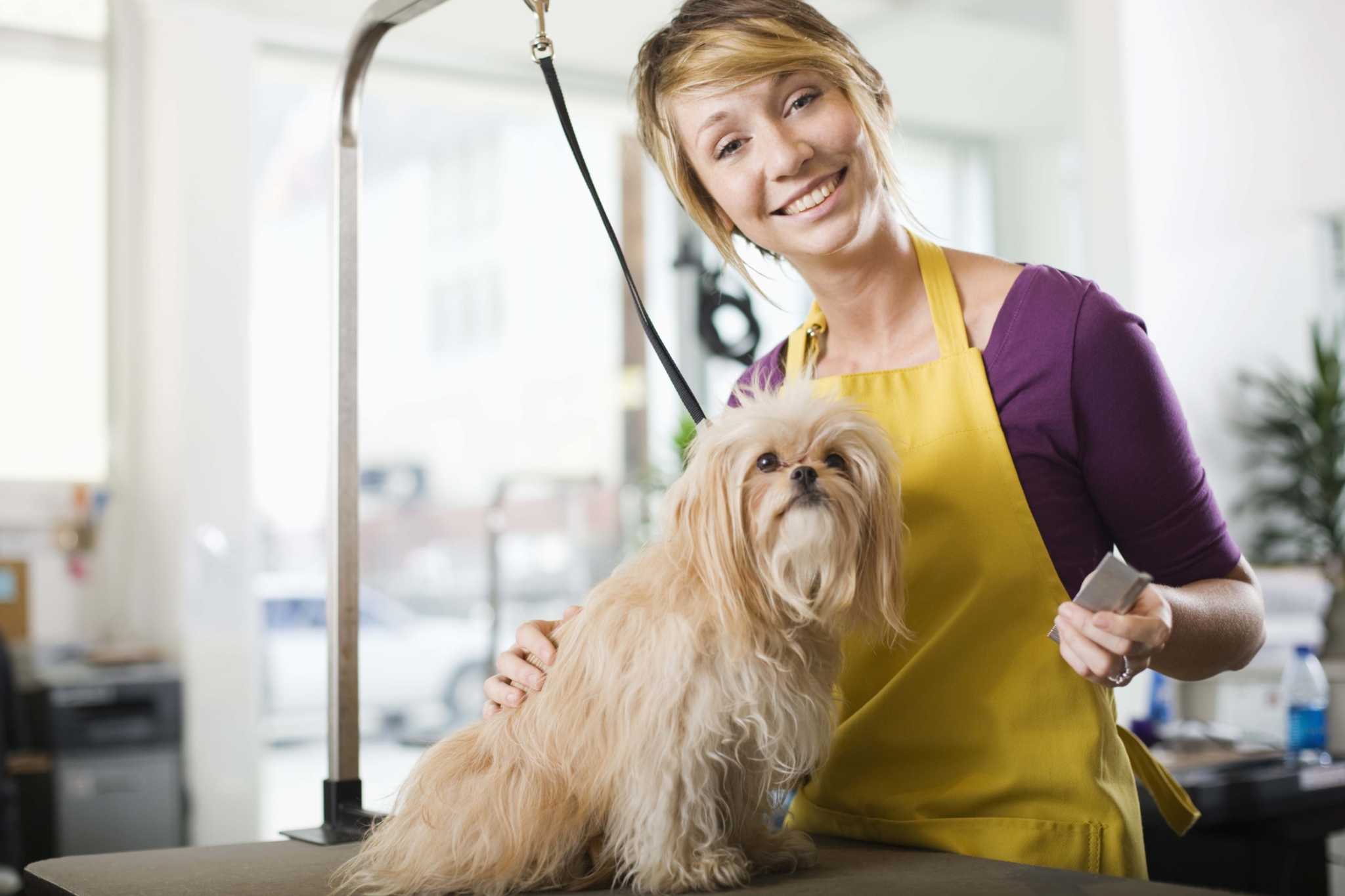Advantages and Disadvantages for Becoming a Pet Shop Owner