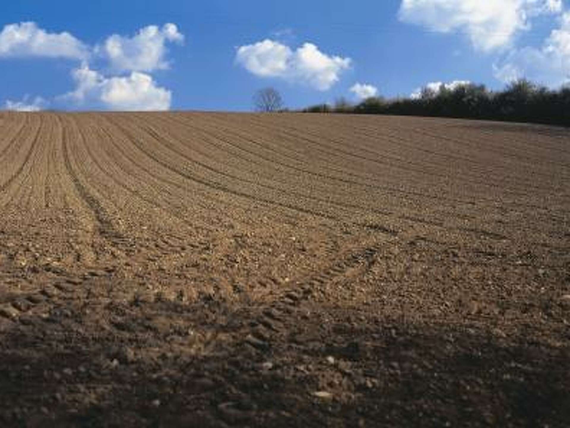 Advantages & Disadvantages of Building on Undeveloped Land