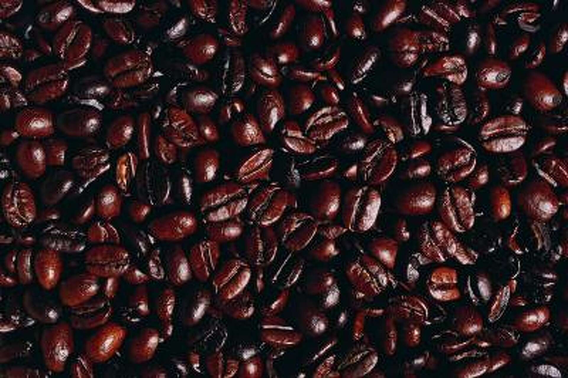 Analysis of Coffee Segmentation