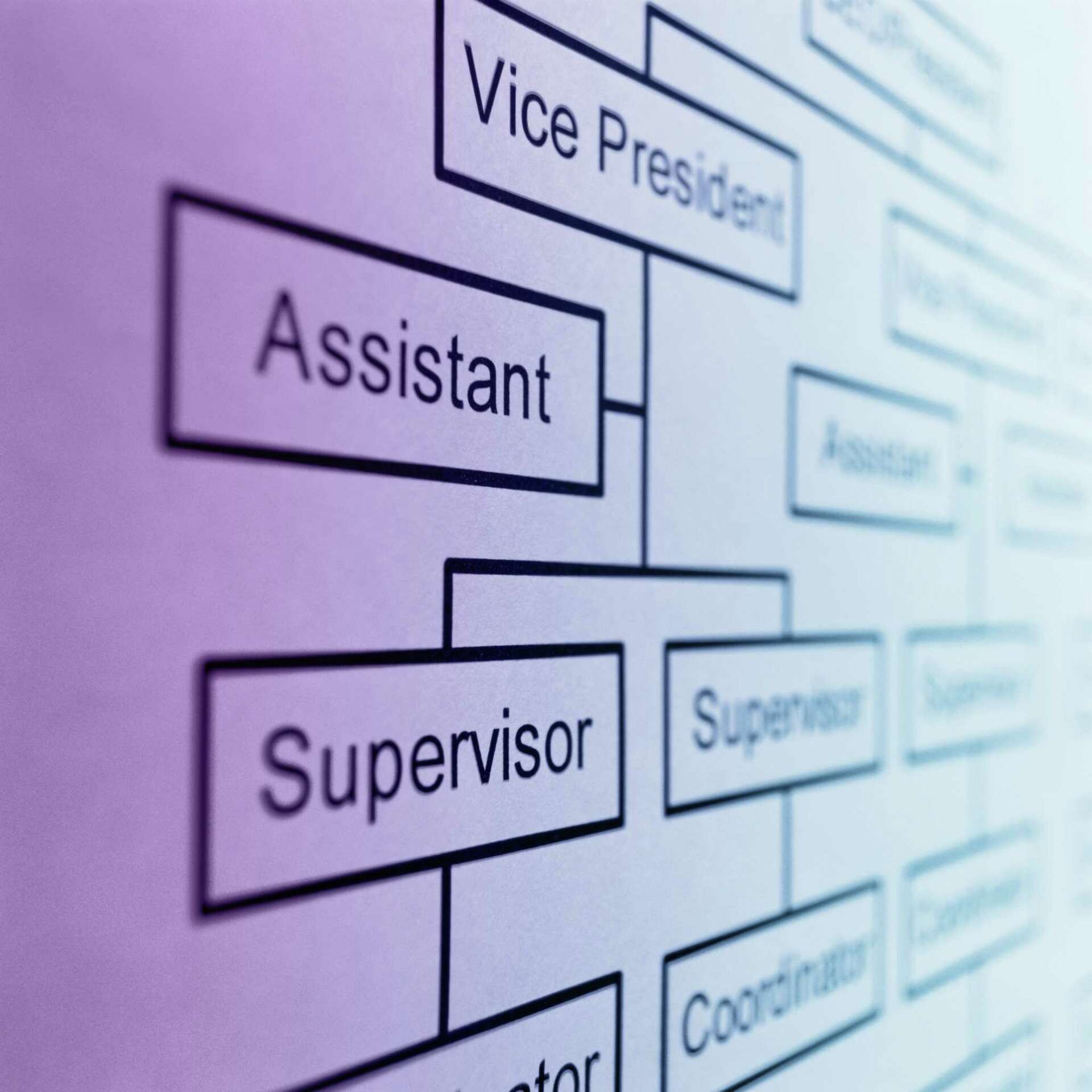 The Number of Layers in the Organizational Structure