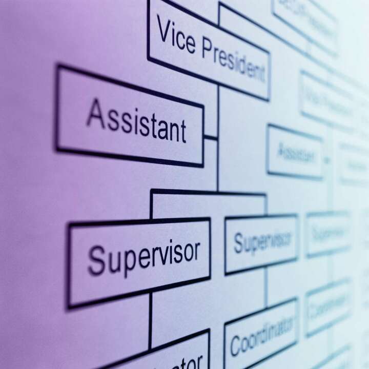 Organizational Structure for Procurement